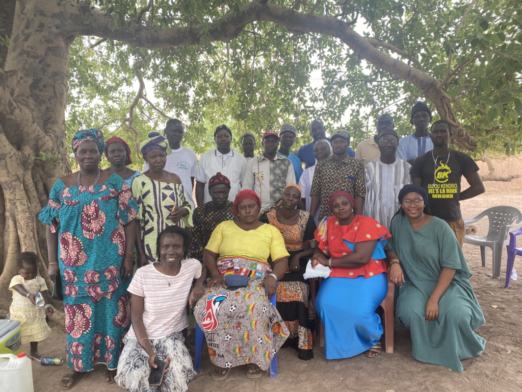 Voices of Sunu Gaal: An Appreciative Inquiry on the Scale of Senegal ...