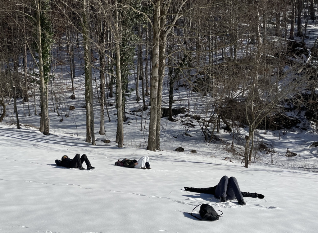 Experiencing More Life Alignment Through Nature-Based Interventions ...