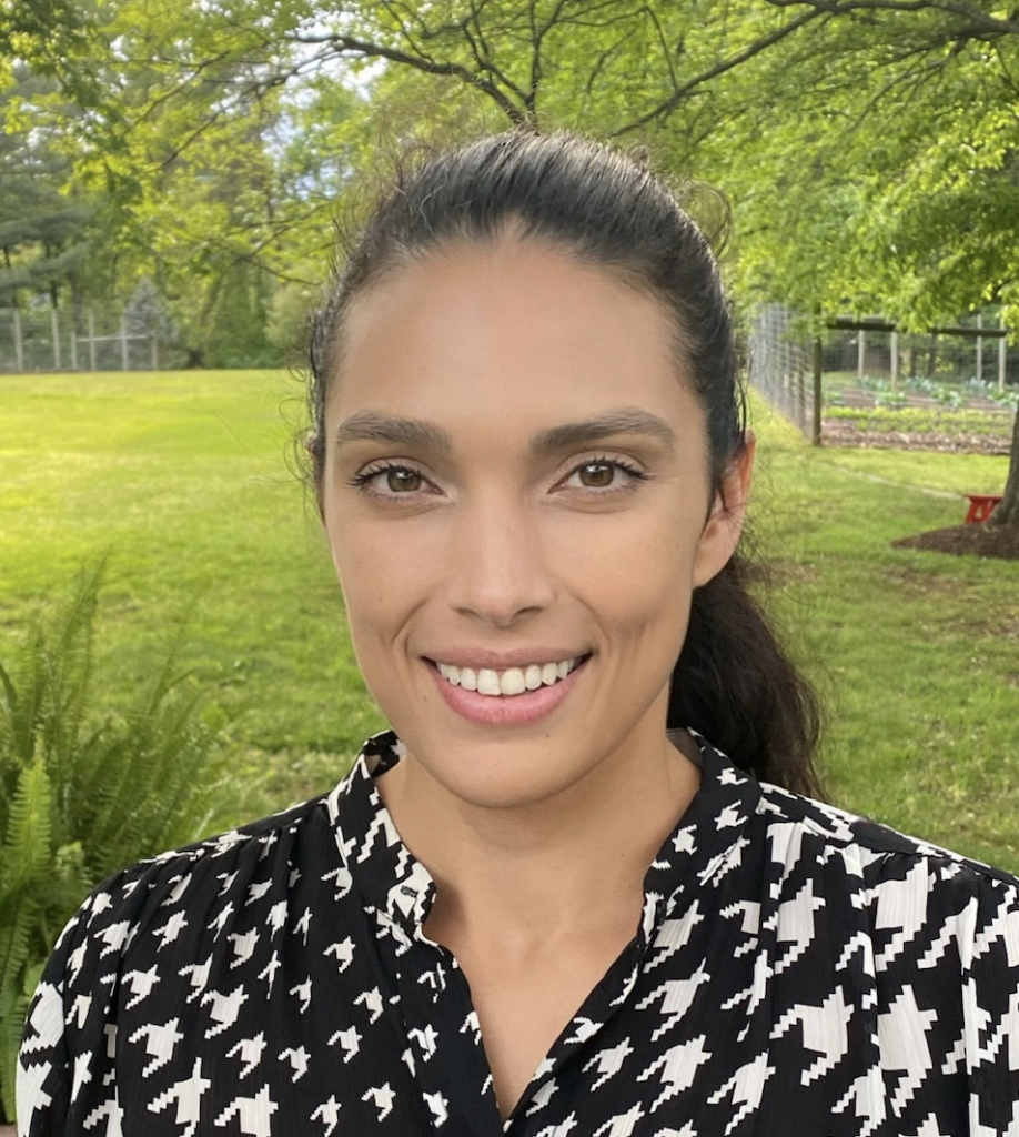 Voices from the field - AI Practitioner